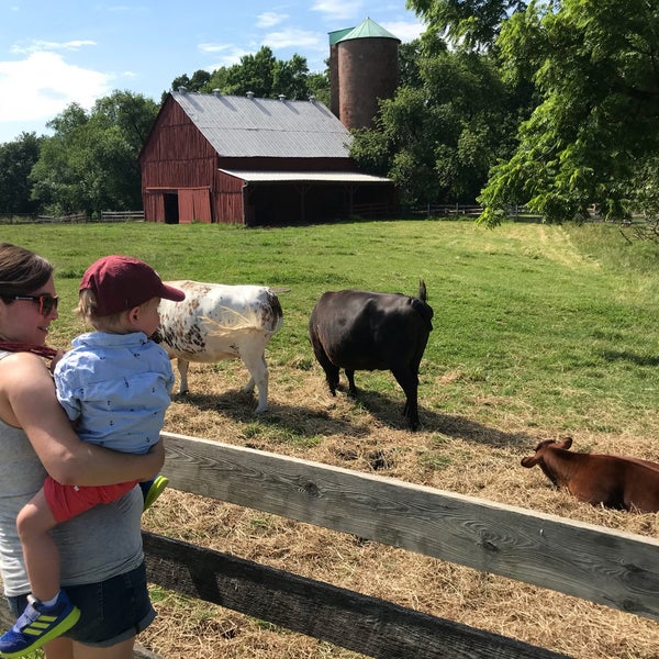 Oxon Cove Park & Oxon Hill Farm - 2 tips