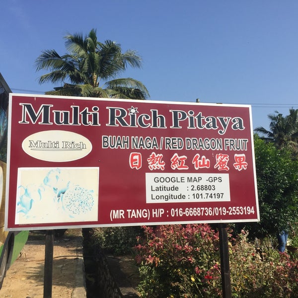 Multi Rich Pitaya Farm - Farm