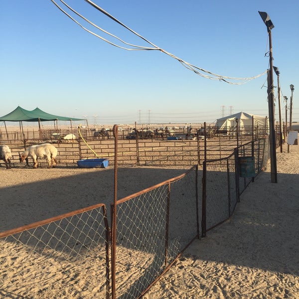 Bnaider (Mukhayam) - 40 visitors