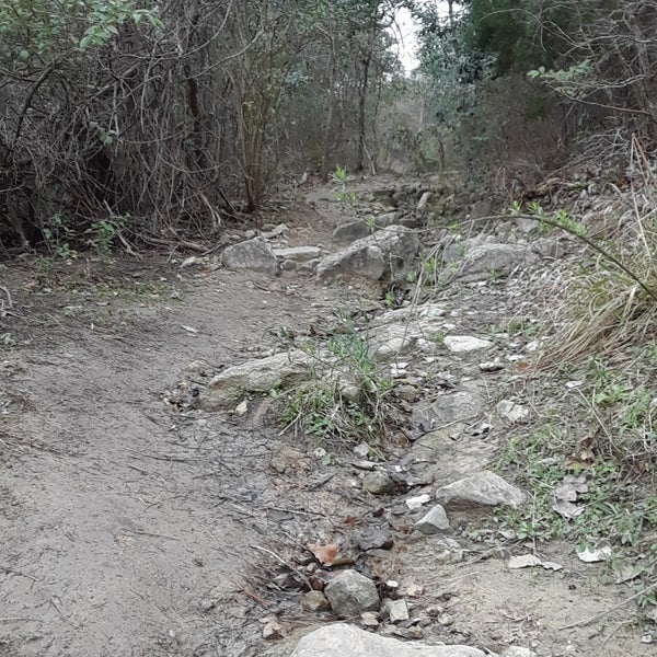Lower Bull Creek Greenbelt and District Park - Austin, TX