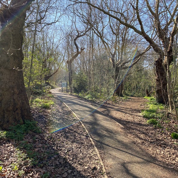 One Tree Hill - Scenic Lookout in Honor Oak