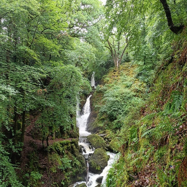 Stock Ghyll Force Waterfalls - Ambleside, Cumbria