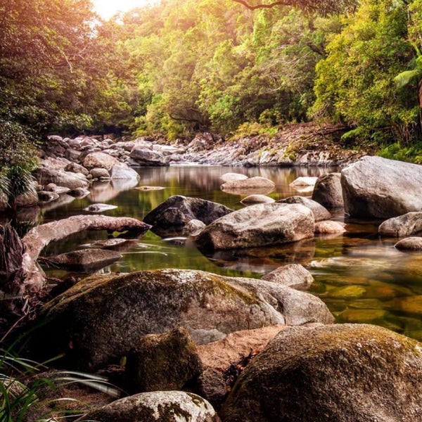 Mossman Gorge - Hiking Trail in Mossman Gorge