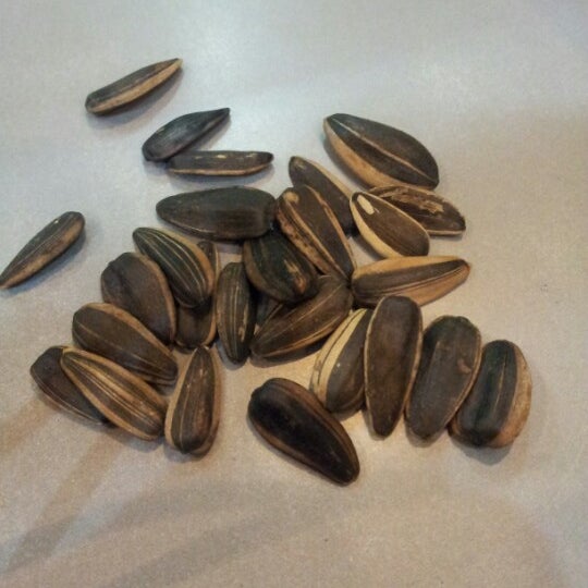 Maribumi Group - Office in Kota Kinabalu