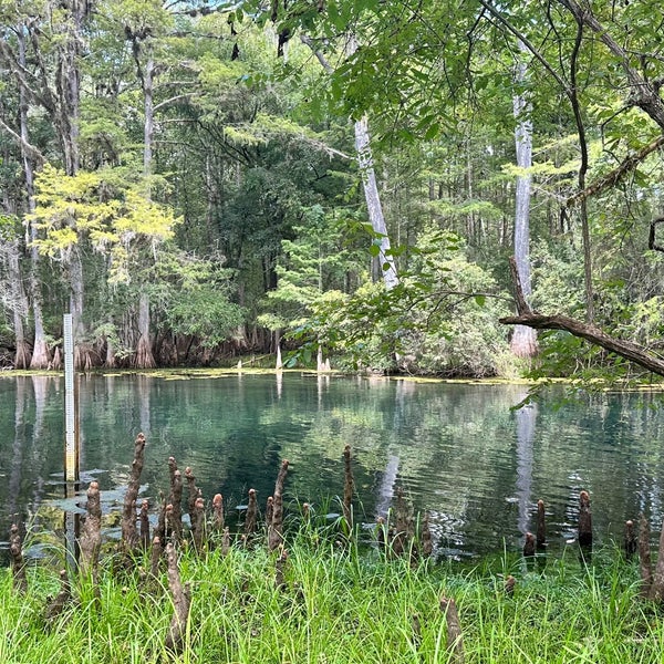 Manatee Springs State Park - 11650 NW 115th St