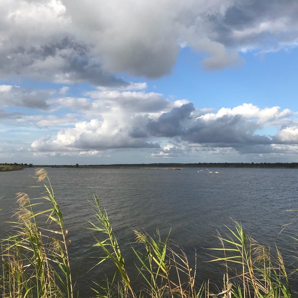 5 Rivers Delta Resource Center - 6 tips from 273 visitors