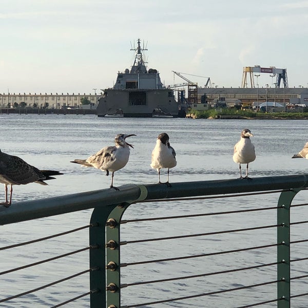 Cooper Riverside Park - 3 tips from 100 visitors