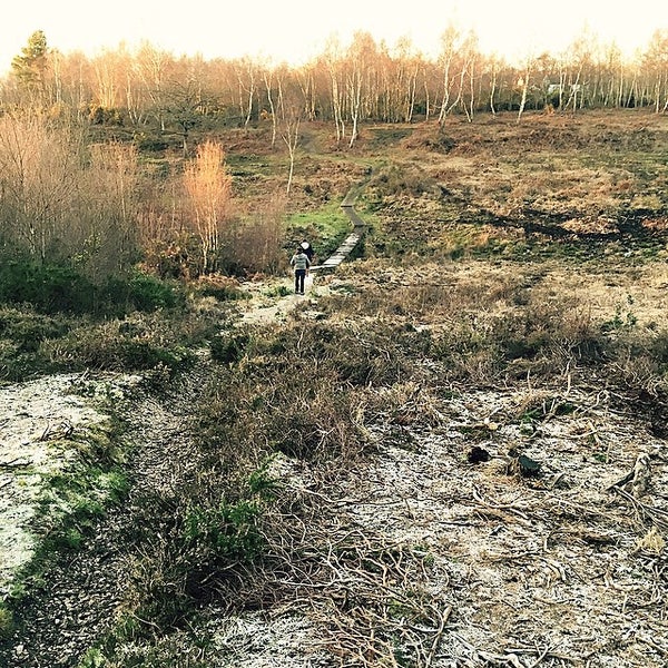 Silchester Common - Silchester, Hampshire