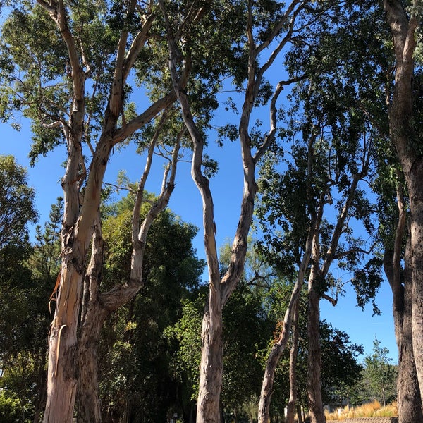 Shinnyo-en Temple - Temple