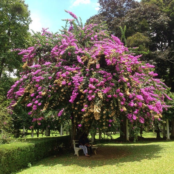 Royal Botanic Gardens - Botanical Garden