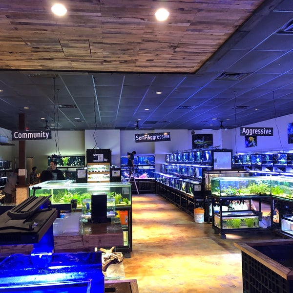 Fish Gallery - 2909 Fountain View Dr