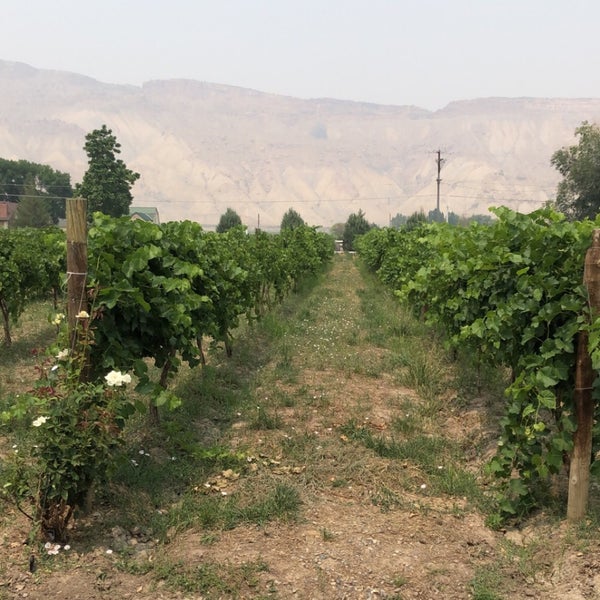 Garfield Estates Vineyard & Winery - 3 tips from 175 visitors