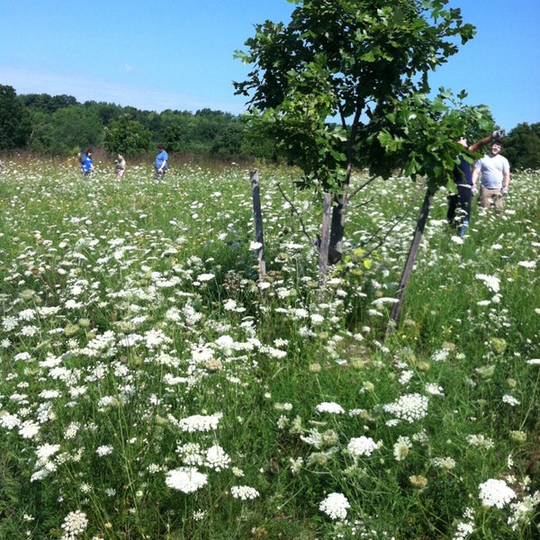 Retzer Nature Center - Waukesha, WI