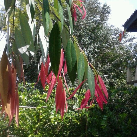 Lunugama Sri Parakumba Raja Maha Viharaya - 1 tip from 6 visitors