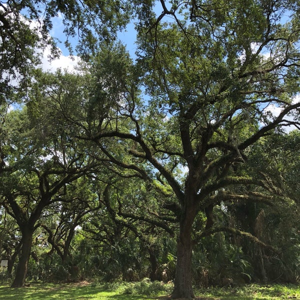 Pine Island Ridge Park - Pine Island Ridge - 1 tip