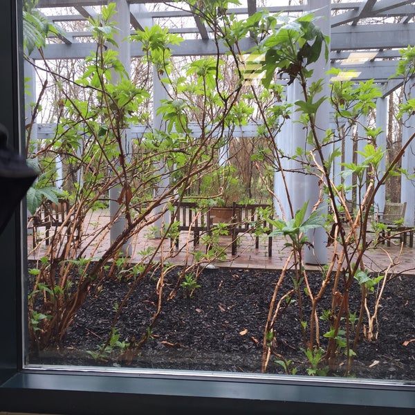 Photos at Charles Beatley Jr. Alexandria Central Library - Library in ...