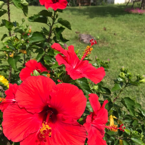 Tugawe Cove Resort - Resort in Caramoan