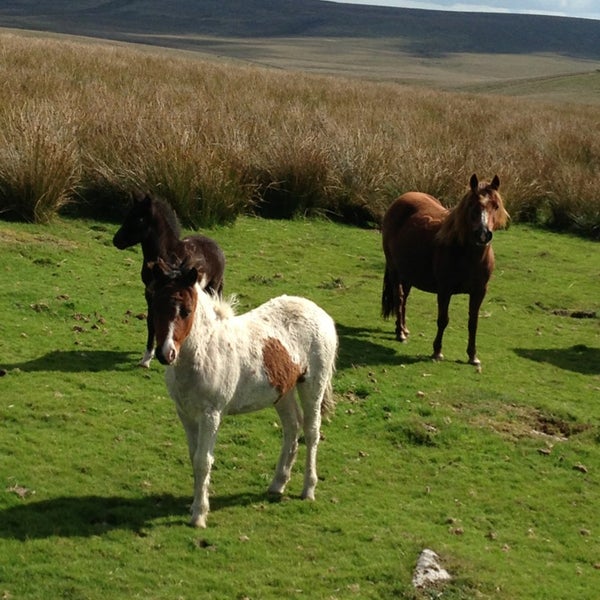 Princetown - Devon, Devon