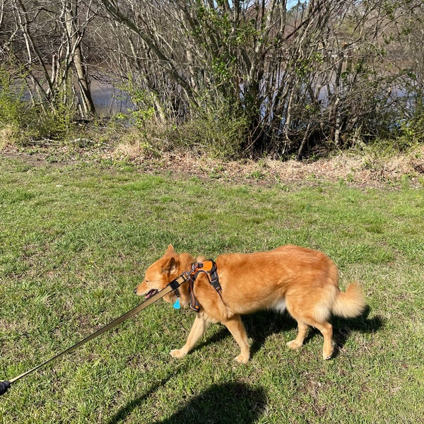 Alexander Park - 800 Old Snellville Hwy