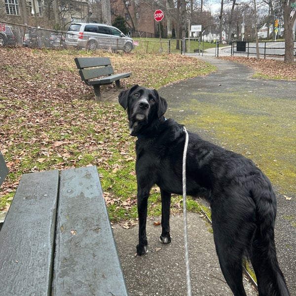 Ethical Culture Fieldston School - Education in Bronx