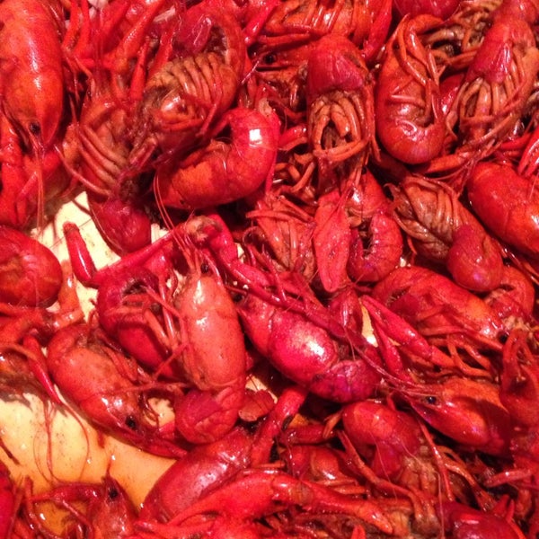 Rocky's Tails & Shells - 126 Lye Aveune