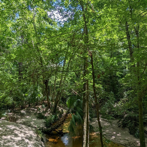 Alfred A. Ring Park - 7 tips