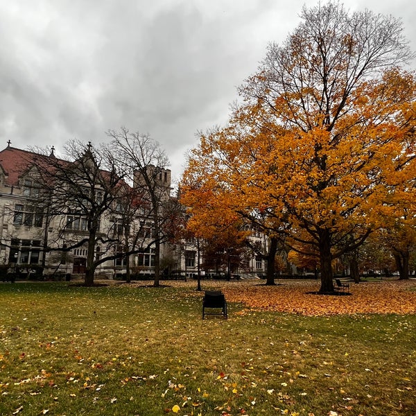University of Chicago Quad - College Quad in Chicago