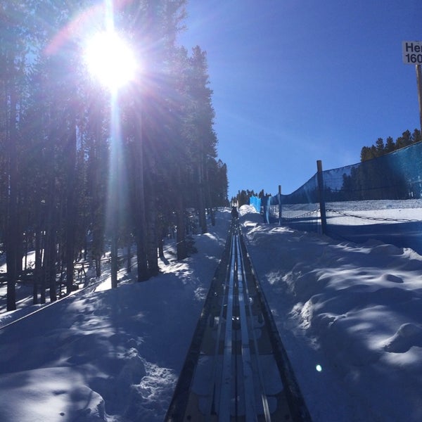 Gold Runner Alpine Coaster - Amusement Park in Breckenridge