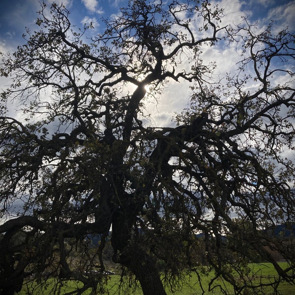 Chesebro Trail - Hiking Trail