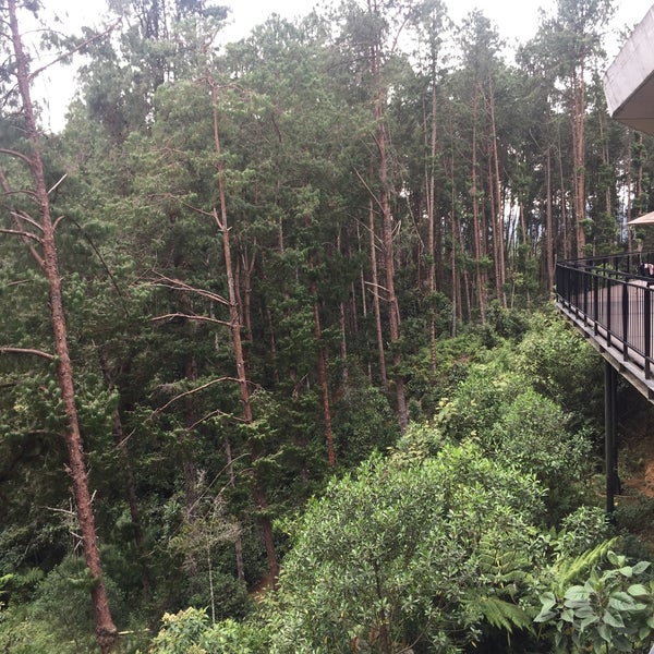 Parque Recreativo Comfama Arví - 39 tips from 1341 visitors