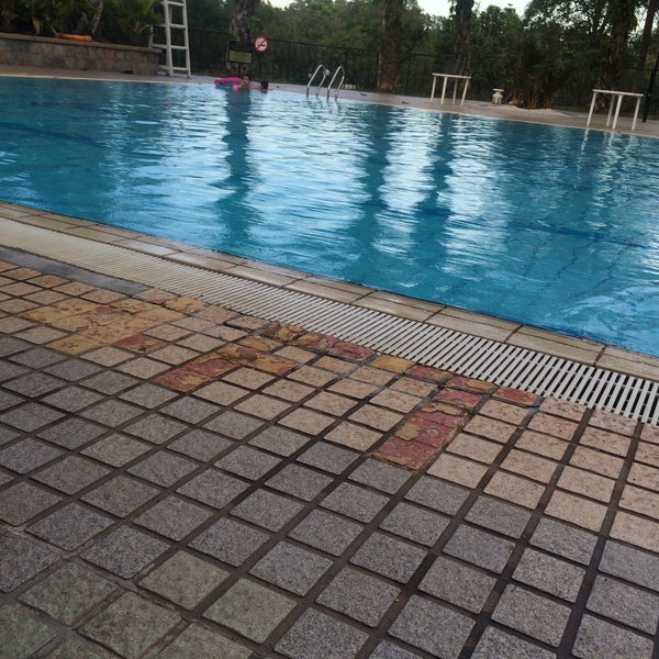 Swimming Pool Cinta Sayang @ Golf Resort Club Sg Petani - Swimming Pool