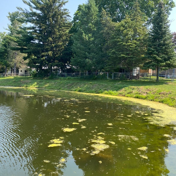 Photos at Laylin Park - Mason, MI