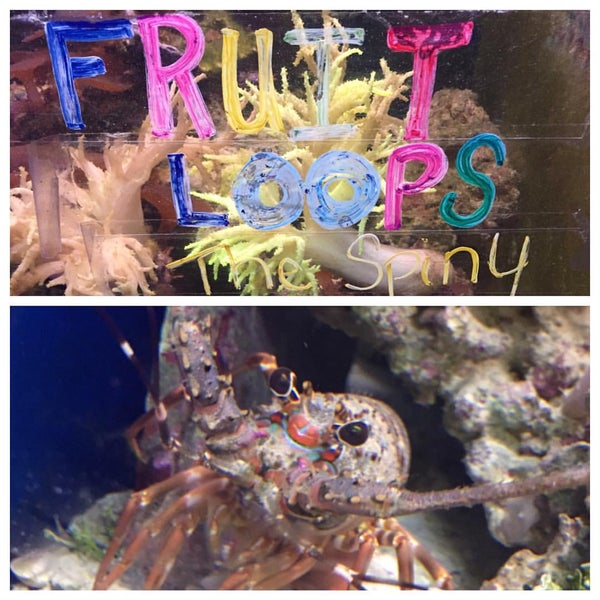 Photos at Preuss Pets - 1127 N Cedar St