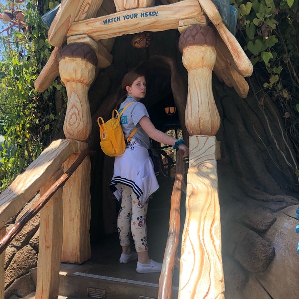 Photos at Chip 'n Dale Treehouse - The Anaheim Resort - 8 tips from ...