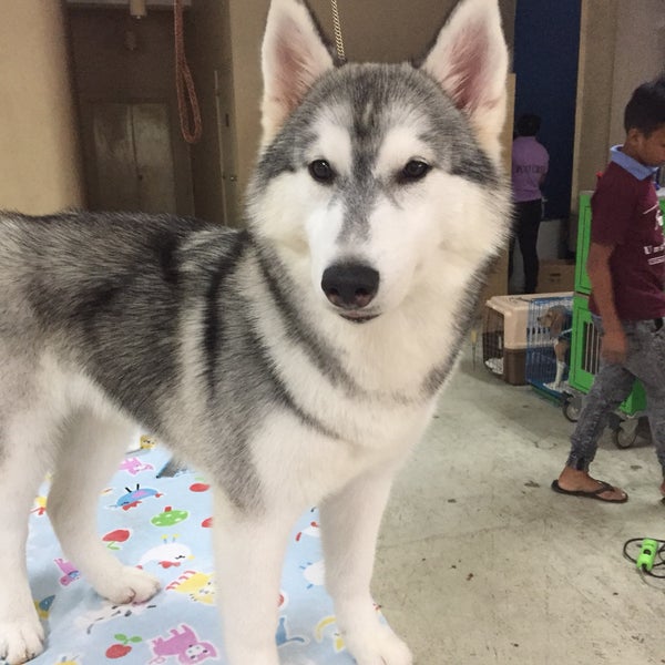 Pcci Activity Center - Event Space in Marikina City