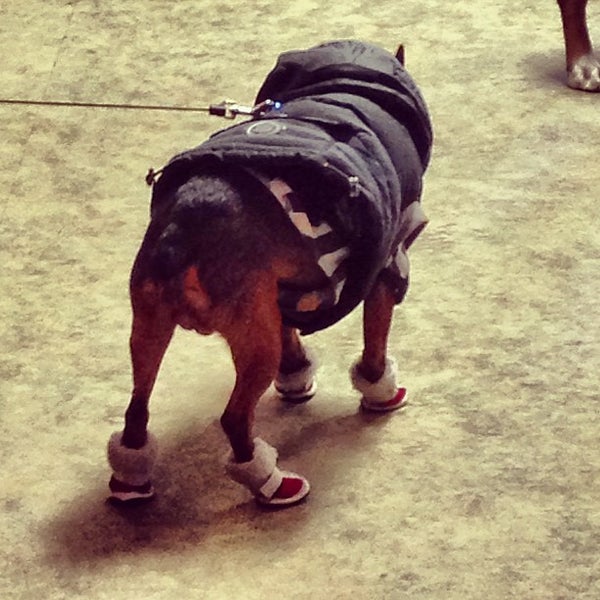 Photos at Merwin Memorial Animal Clinic - 8 tips from 174 visitors