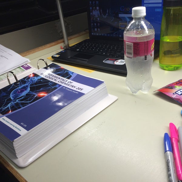 Lockwood Memorial Library - College Library in Amherst