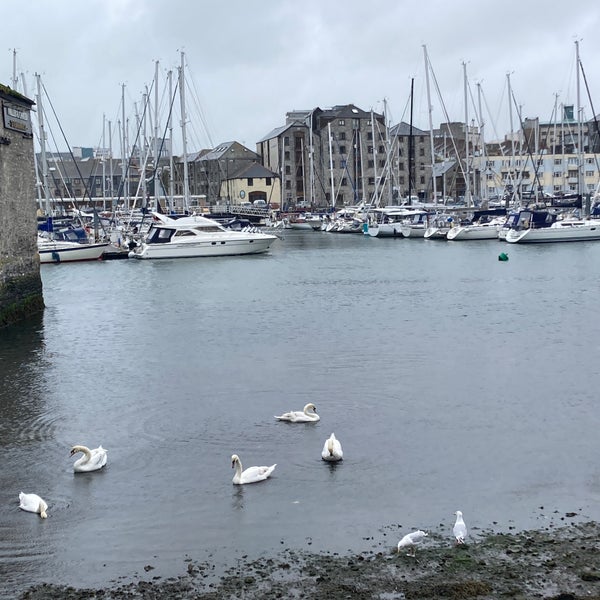 Sutton Harbour - Cattedown - 2 tips