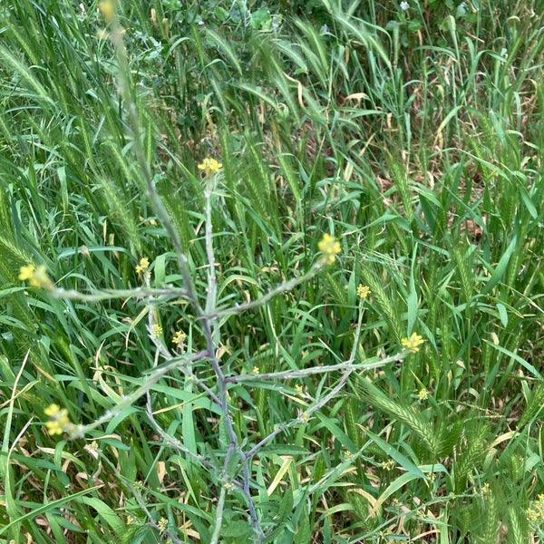 Churchfields Recreation Ground - Park