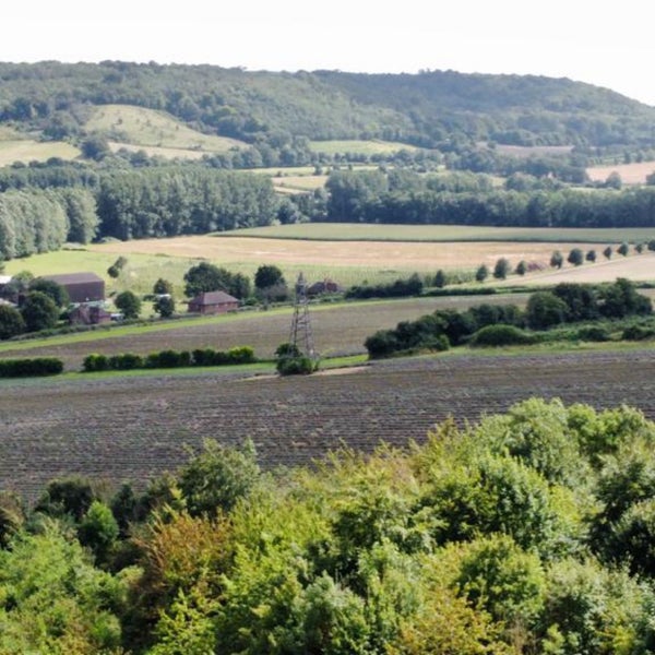 Lullingstone Country Park - Park