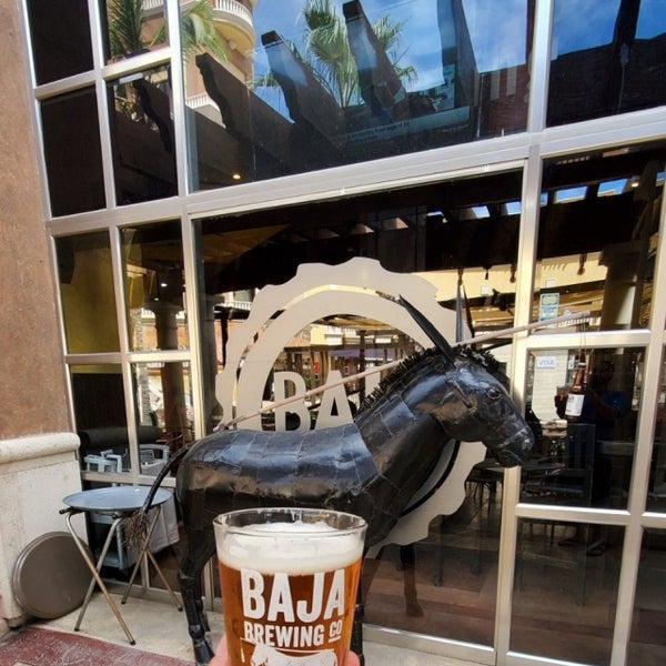 Baja Brewing Co. - Brewery in Cabo San Lucas