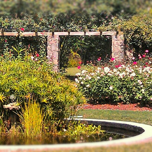 Raleigh Rose Garden - 18 tips from 827 visitors