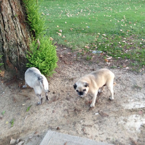 Crane Park - Park in Turlock