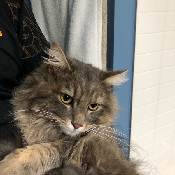 Seattle Animal Shelter - Animal Shelter in Seattle