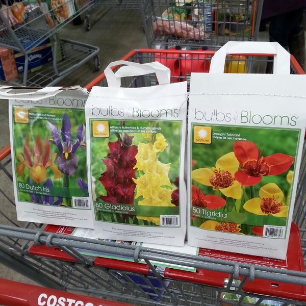 Photos at Costco - Warehouse or Wholesale Store in West Springfield