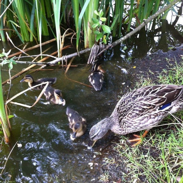 Littledown Park - Park