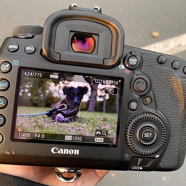 Photos at Meridian Playground - Playground