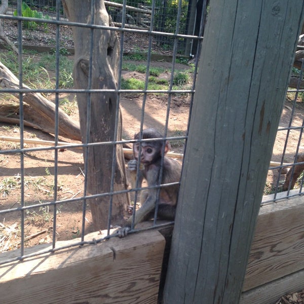 Safari West - Other Great Outdoors in Santa Rosa