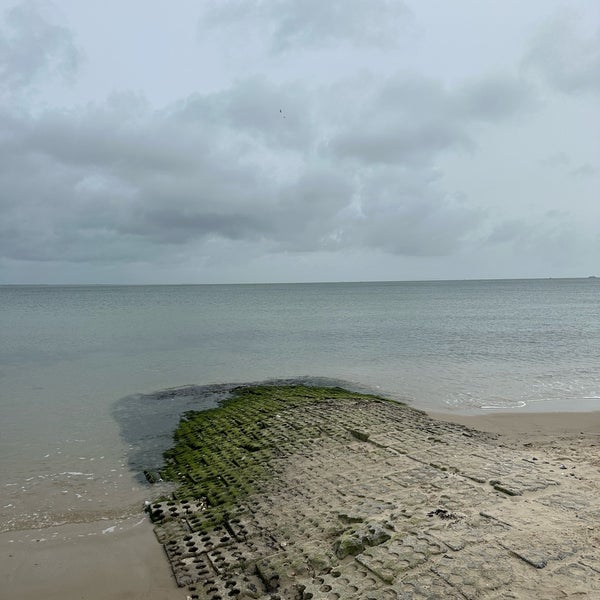 Middle Beach - Beach in Studland, Dorset
