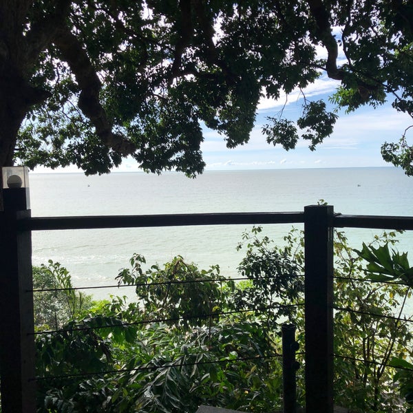 Tree Monkey Restaurant - Tropical Spice Garden